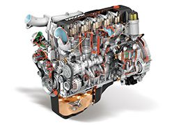 IEC Normal Standard Electric Motor, Stianless Steel Motor, Brake Motor ...